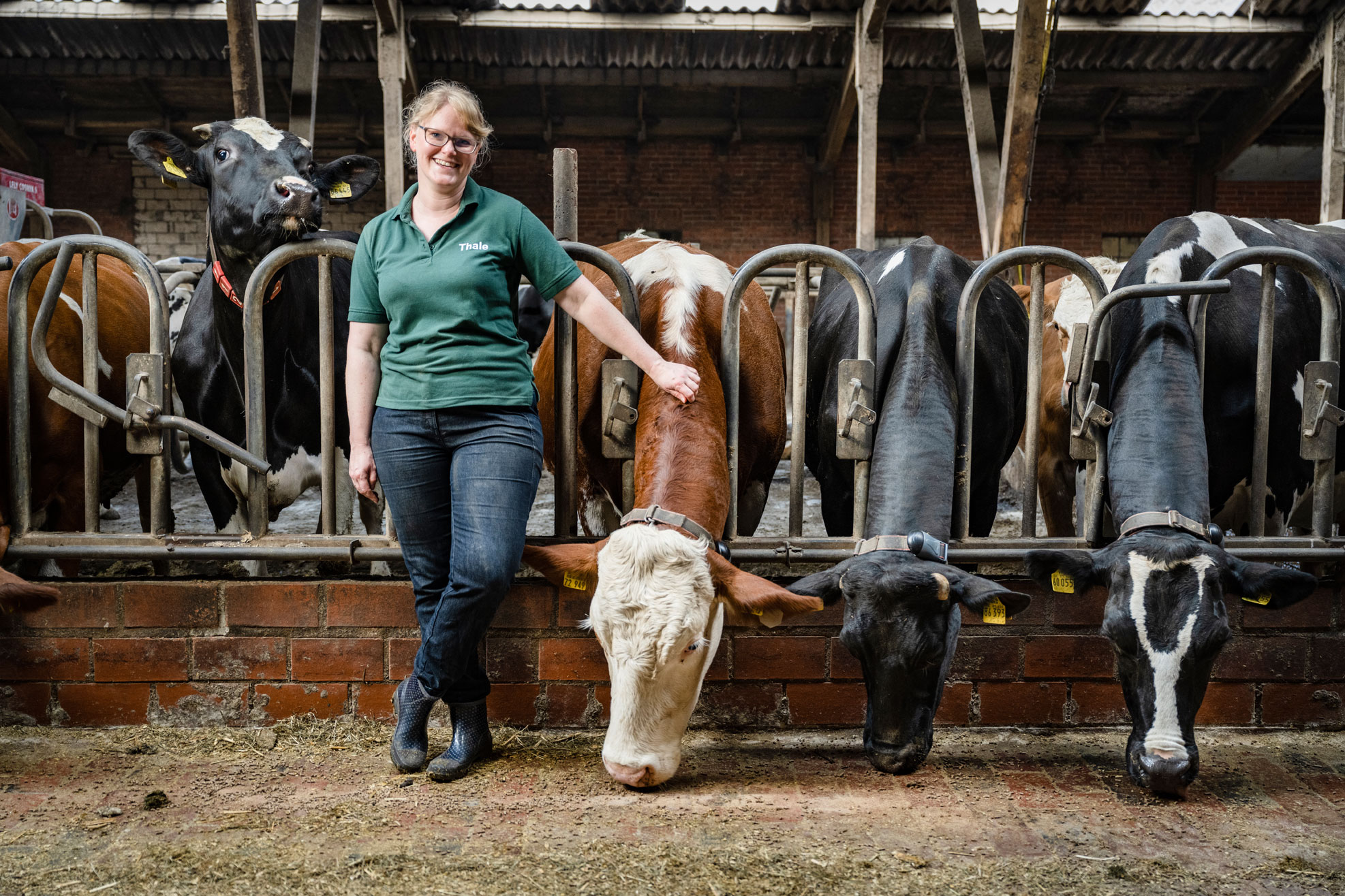 Neue „EinSichten“ in die moderne Tierhaltung geben – Landvolk ...